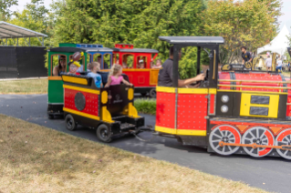 Fall Fest Gallery