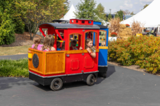 Fall Fest Gallery